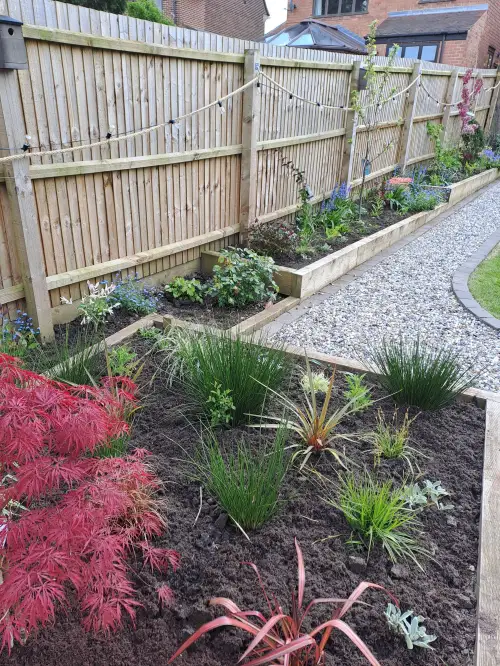 Planting of raised borders - Gardens Of Wildlife