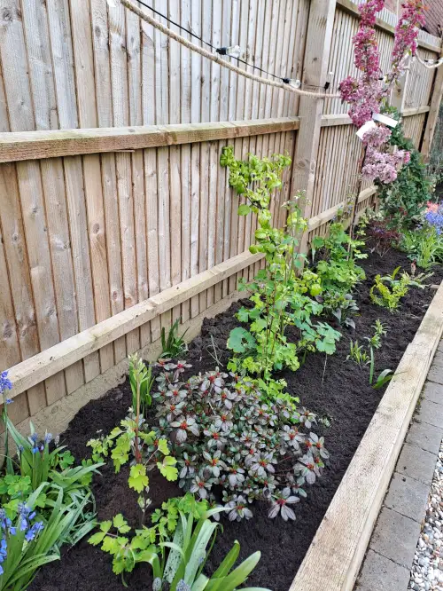 Planting of raised borders - Gardens Of Wildlife