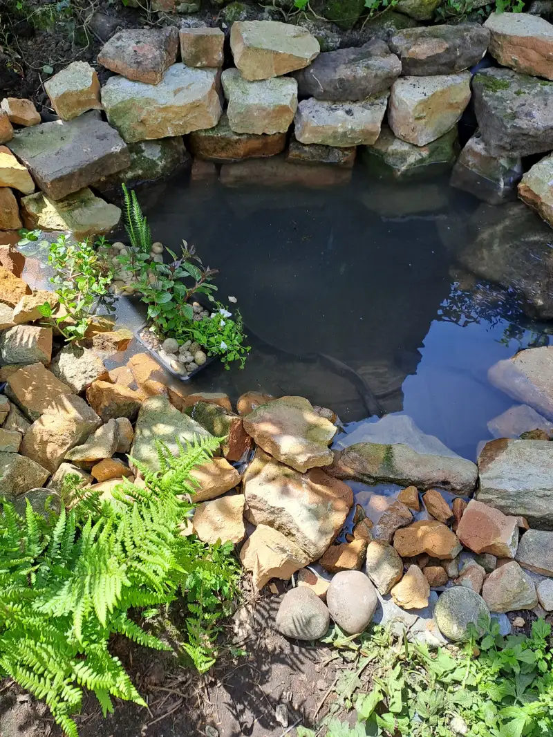 Pond and decorative stream - Gardens Of Wildlife